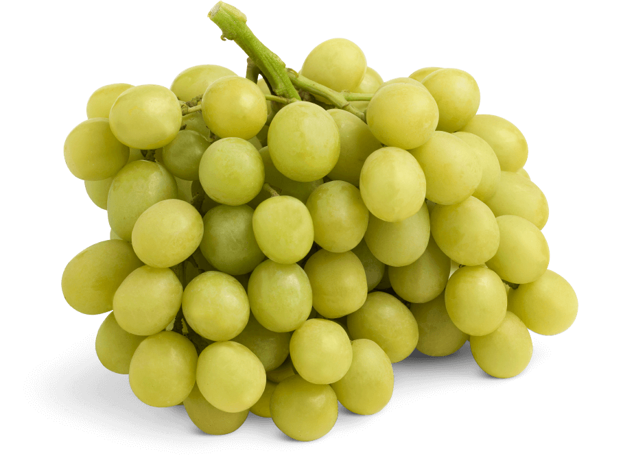 AUTUMNCRISP® Grapes